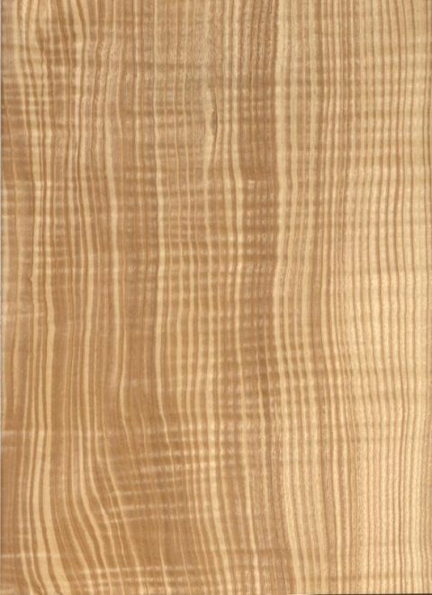 Olive Ash 1083-1 | BVC Veneer